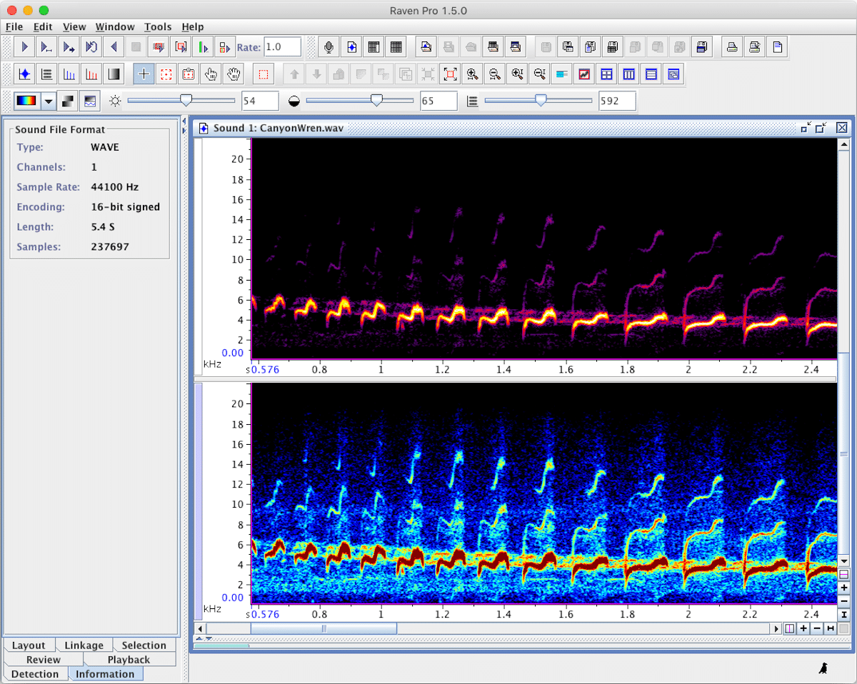 Raven Pro – Cornell Lab of Ornithology – Cornell University