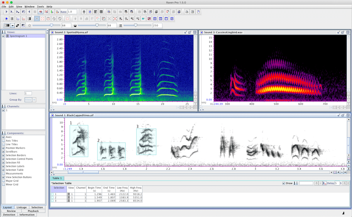 Raven Pro – Cornell Lab of Ornithology – Cornell University