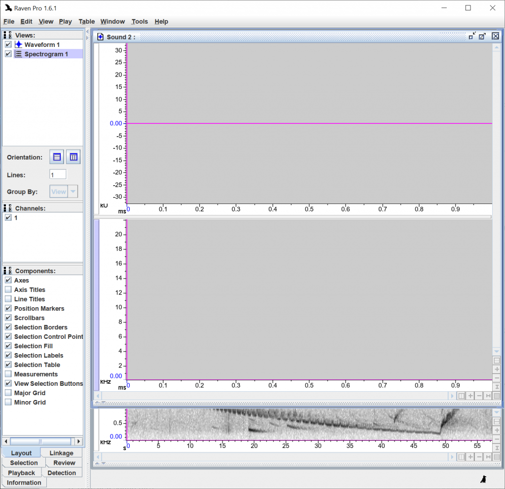 Copy-Paste Sound Clips – Cornell Lab of Ornithology – Cornell University